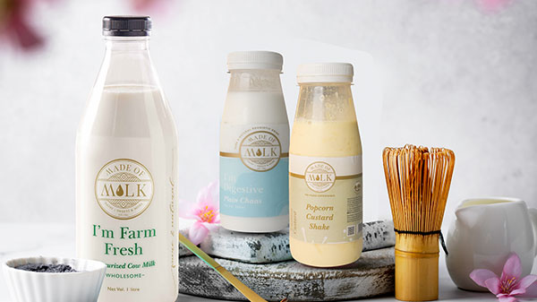 Milk and Beyond: Unveiling the Hidden Culinary Potential of Dairy– Made ...